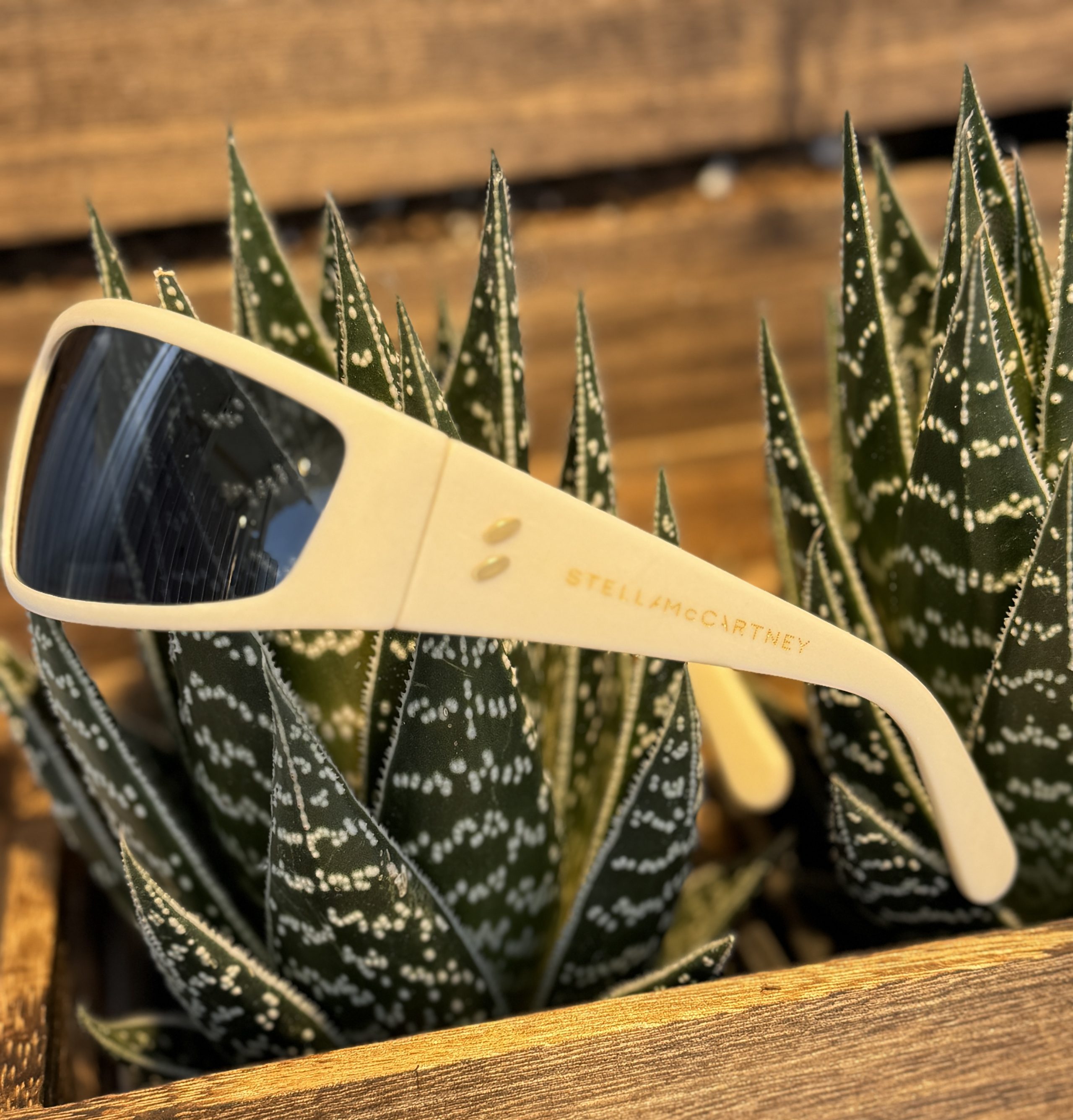 Mango Materials Transforms Methane to Biopolymer | Mango Materials