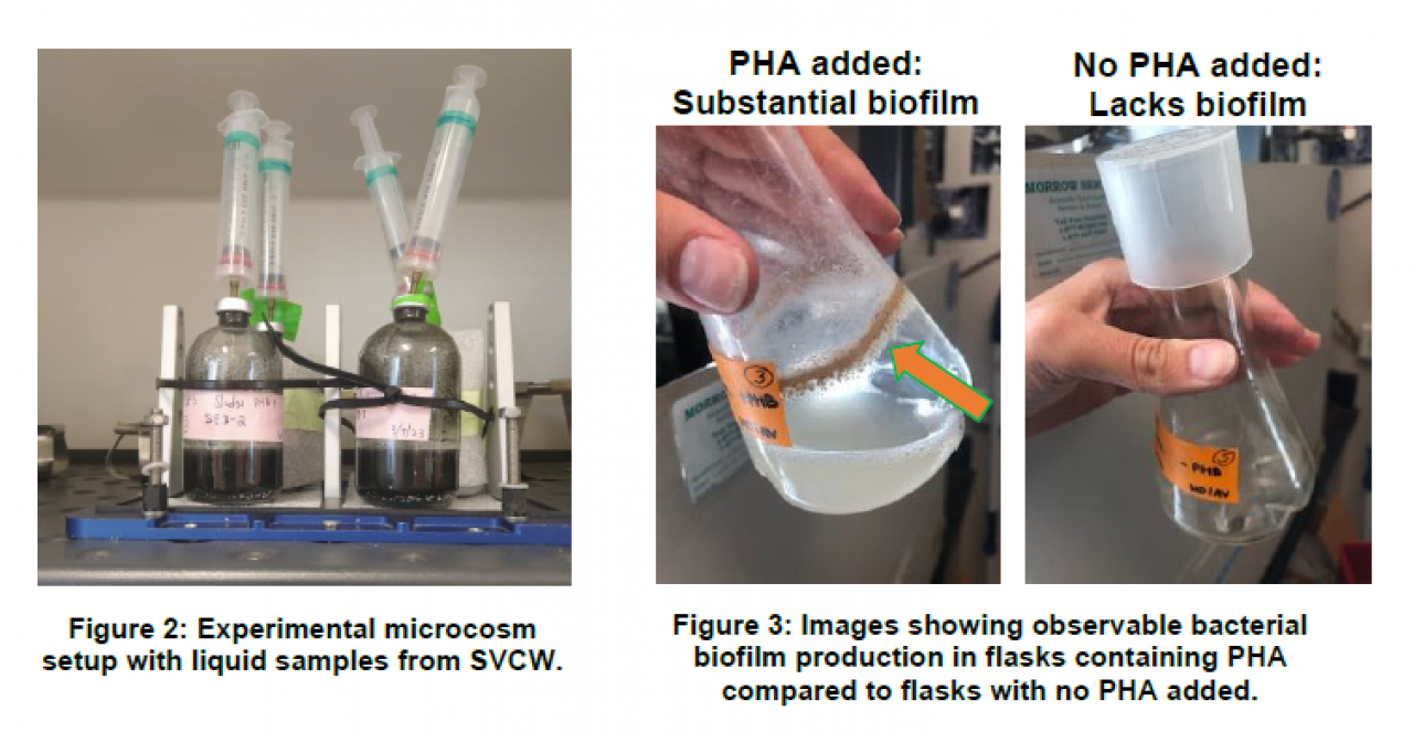 Mango Materials Advances Aquatic Environmental Uses of PHA | Mango ...