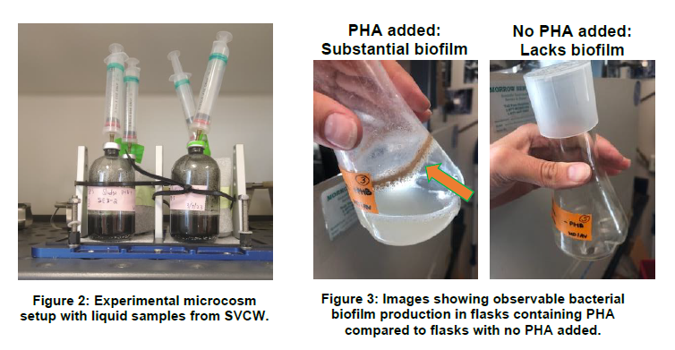 Mango Materials Advances Aquatic Environmental Uses of PHA | Mango ...